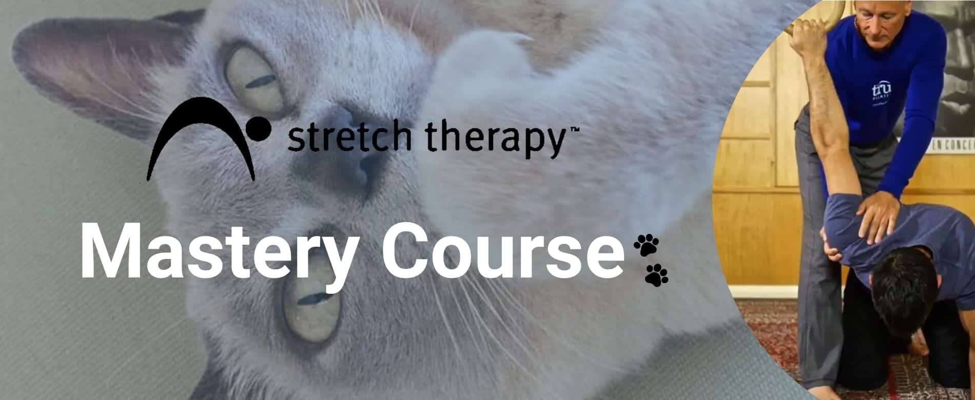 Stretch Therapy Mastery Course – Stretch Therapy