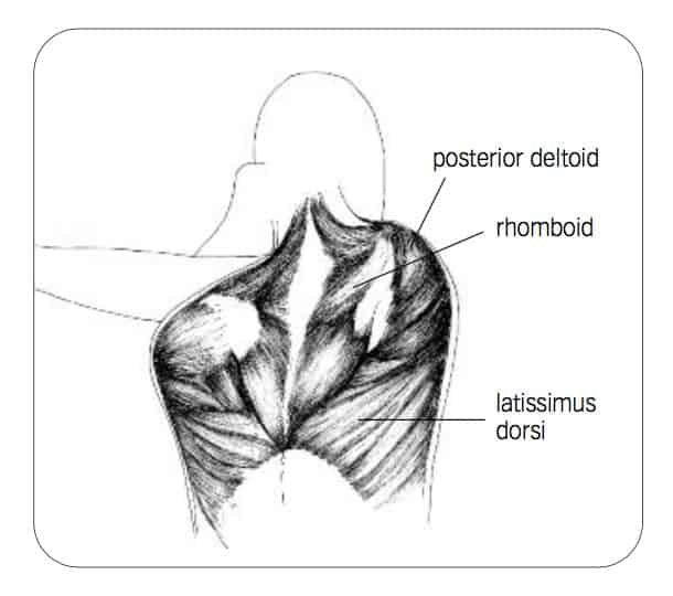 Arm across body – standing version